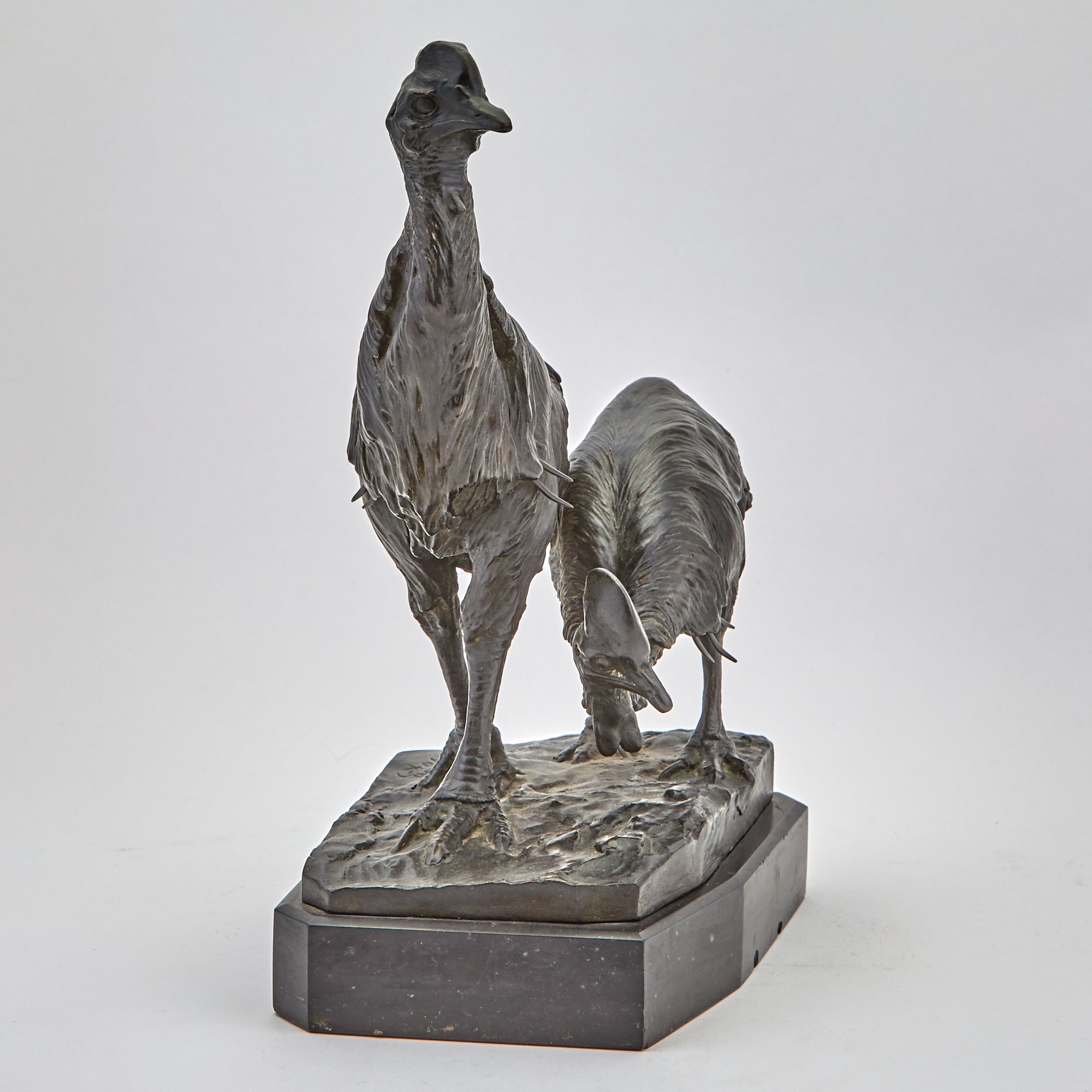 Josef Franz Pallenberg | Two Cassowaries (1904) | MutualArt