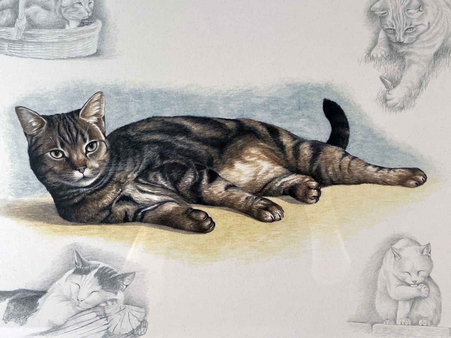 Nigel Hemming | NIGEL HEMMING SIGNED CAT STUDY | MutualArt