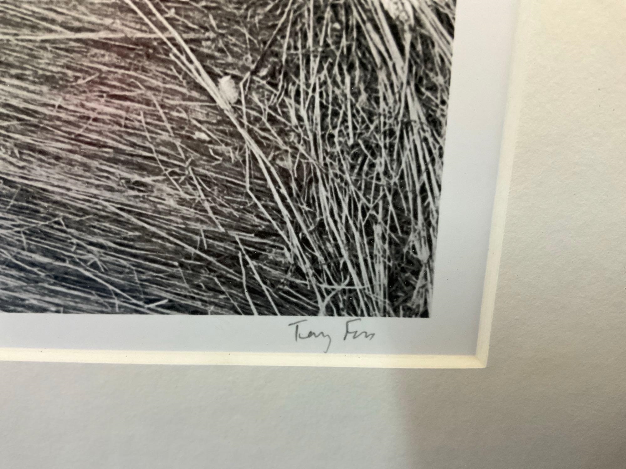 T. Foss | Collection of Black and White Photographs and More (Early ...