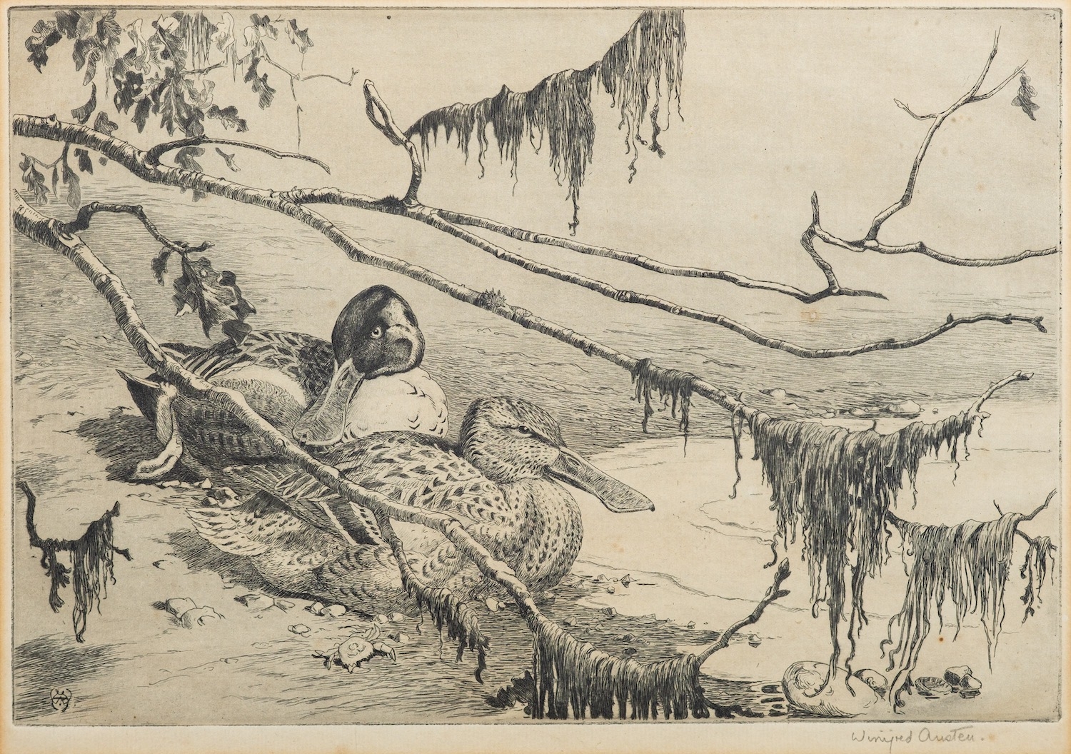 Winifred Austen | 1964) Snipe and Ducks Two drypoint etchings 26 x 21 ...