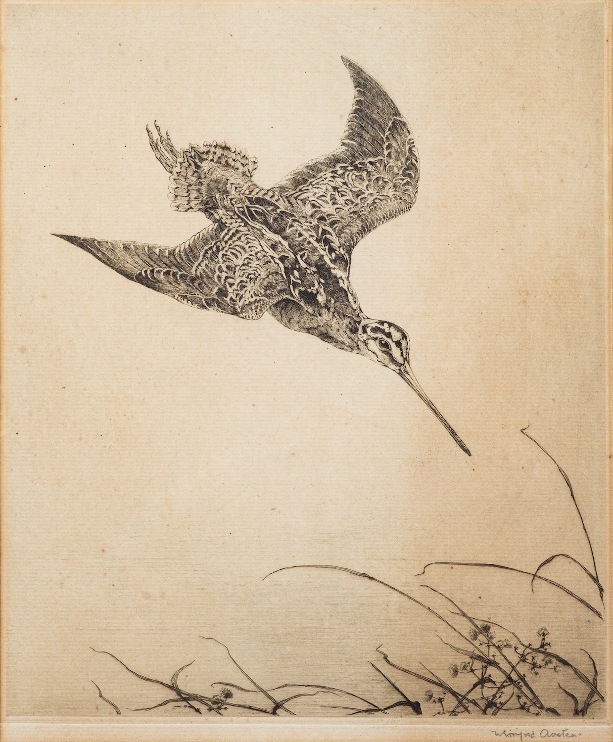 Winifred Austen | 1964) Snipe and Ducks Two drypoint etchings 26 x 21 ...