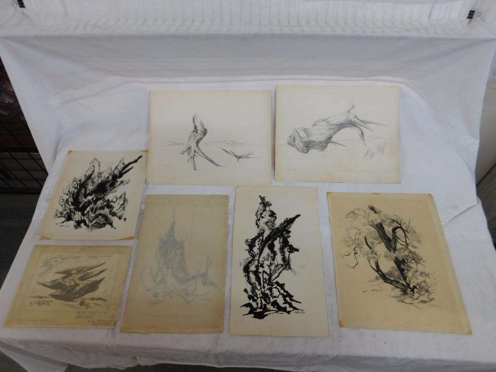 James Kirk Merrick | 7 James Kirk Merrick; Nature Drawings | MutualArt