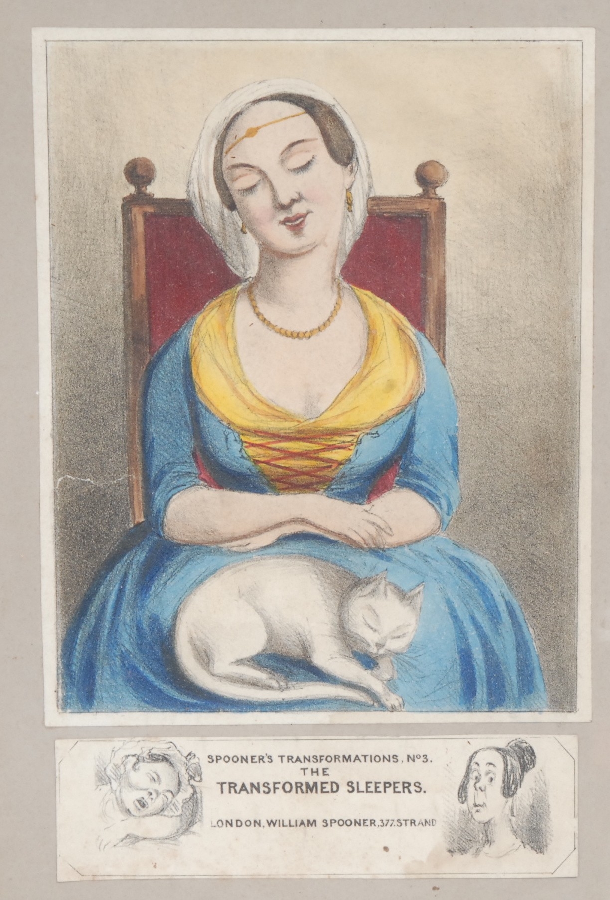 William Spooner | A 19th century engraved and coloured translucent ...