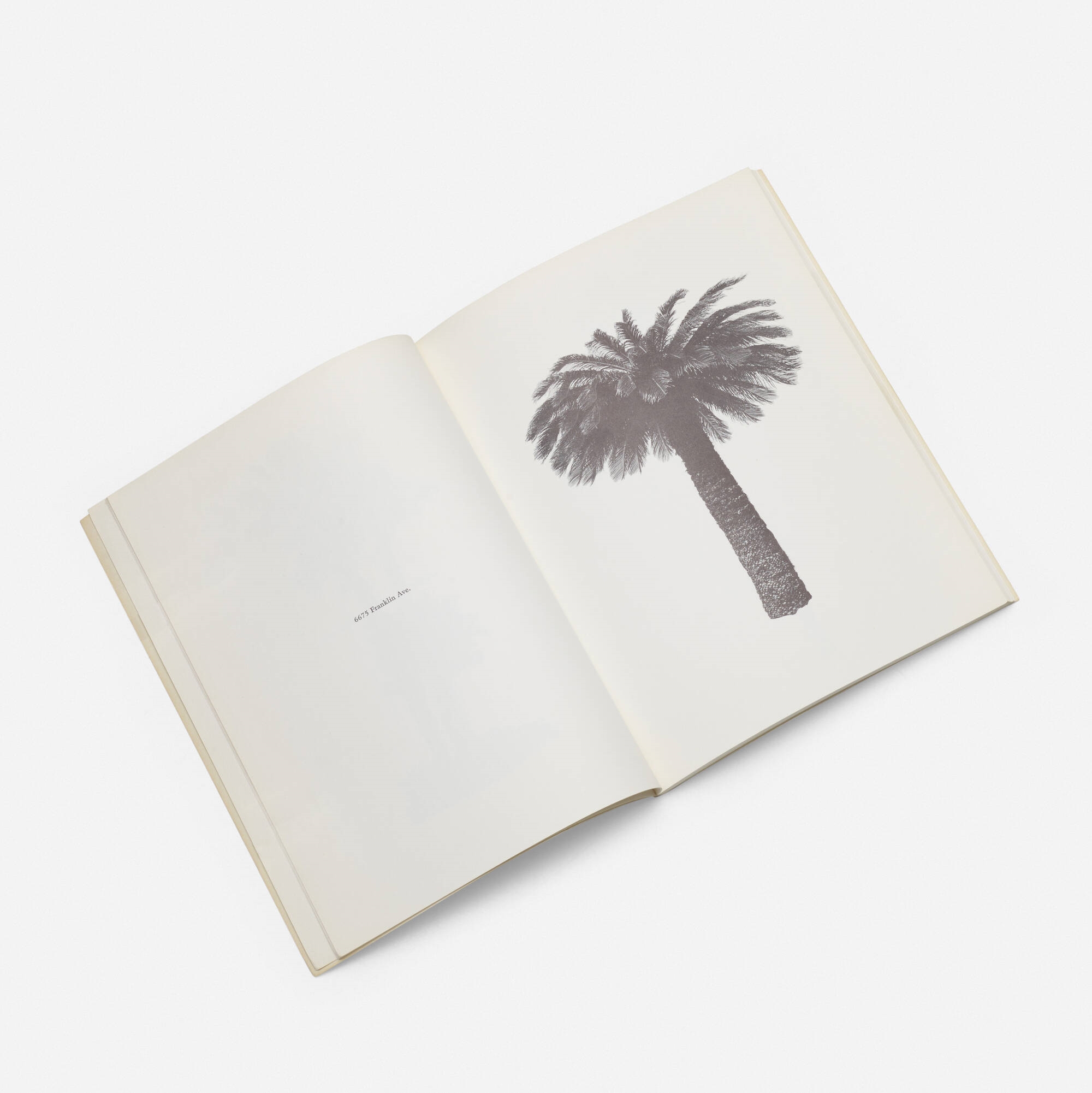 Ed Ruscha | A Few Palm Trees (1971) | MutualArt