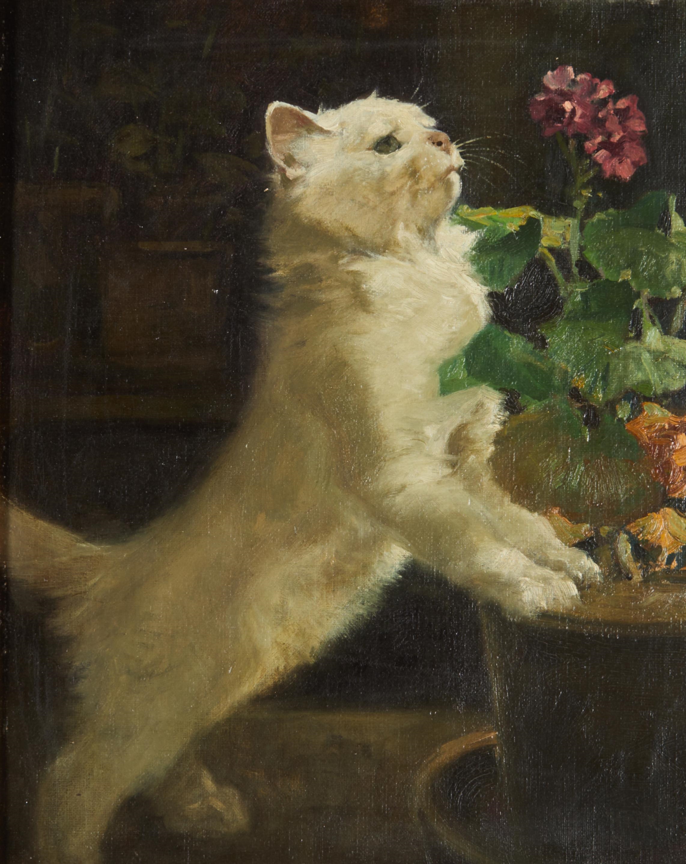 Arthur Heyer | Katze mit Pelargonie (1915) | MutualArt