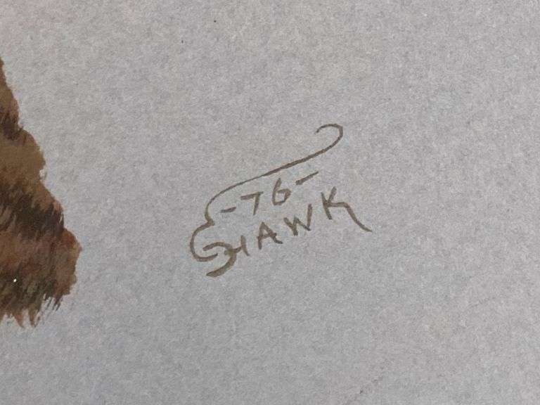 Jonny Hawk | 1976 Jonny Hawk Native American Painting on Paper | MutualArt