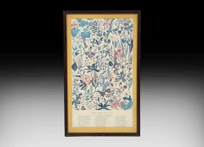 R. W. Tyler | Wild Flowers of Alaska | MutualArt