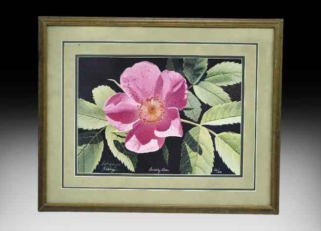 Gail Niebrugge | Prickly Rose | MutualArt
