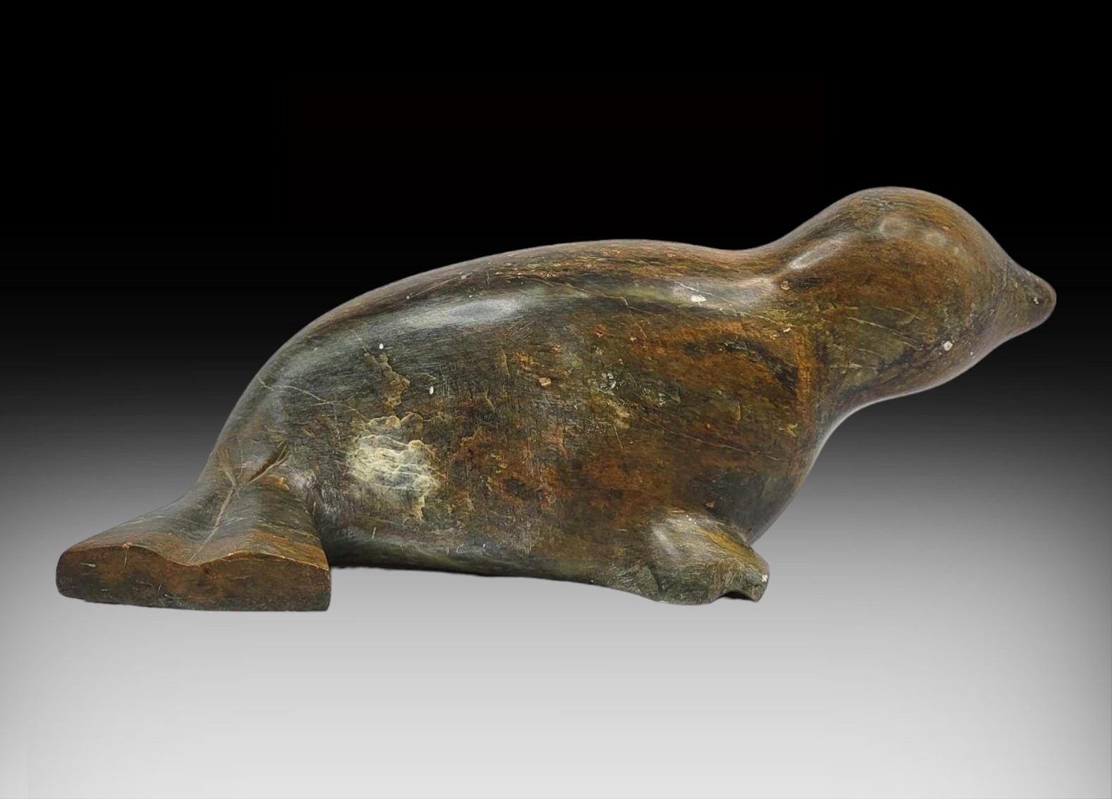 Dominic | Harbor Seal | MutualArt