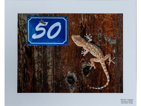 Jean Daniel Tosello | 1 Artworks | MutualArt