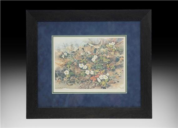 Nancy Taylor Stonington | Wild Strawberry Blossoms | MutualArt