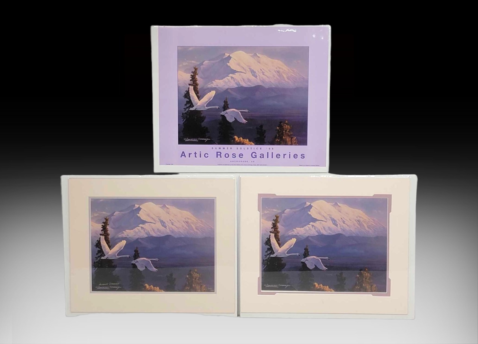 Lawrence Starkey | Artic Rose Galleries Advertisement, & Snow Geese ...