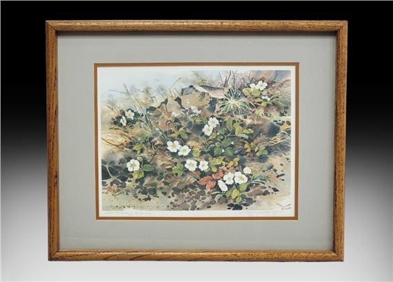 Nancy Taylor Stonington | Wild Strawberry Blossoms | MutualArt