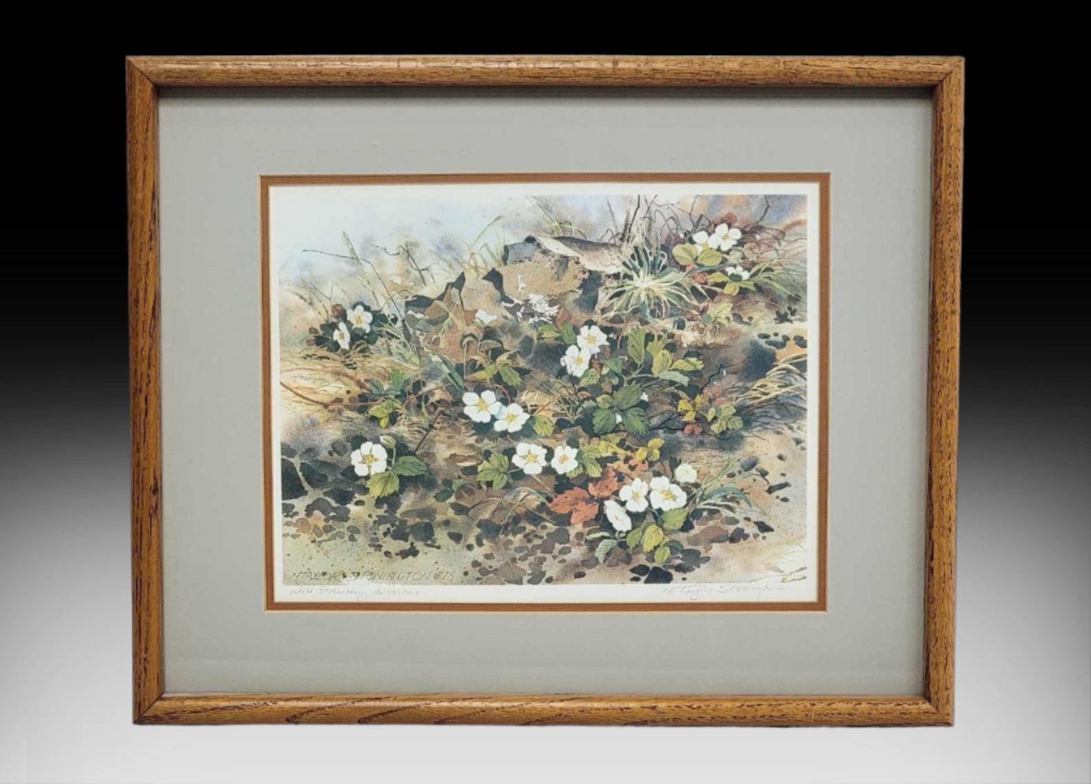 Nancy Taylor Stonington | Wild Strawberry Blossoms | MutualArt
