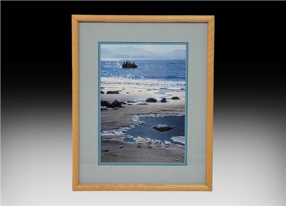 Ed Tussey | Tidepool | MutualArt
