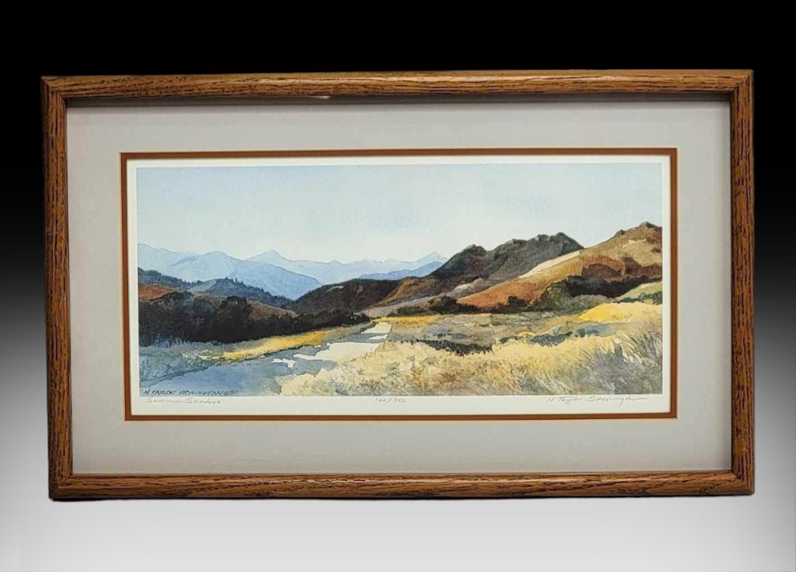 Nancy Taylor Stonington | Summer Shadows | MutualArt