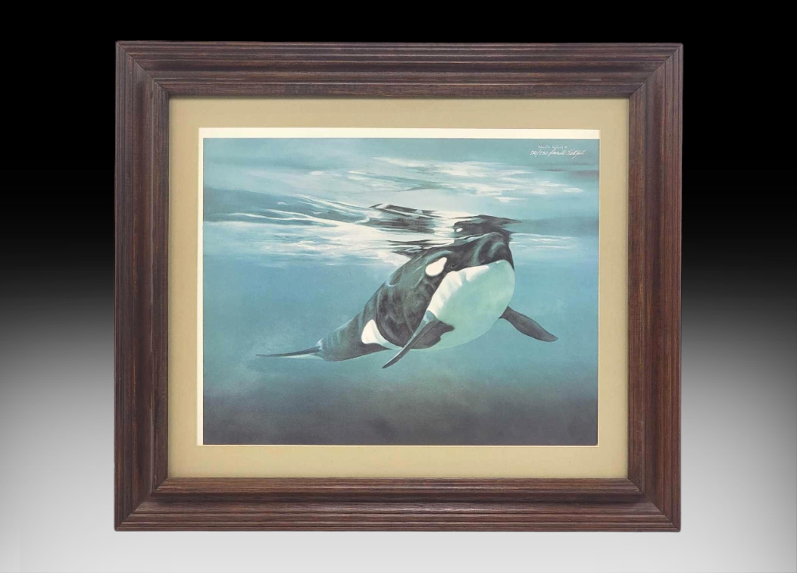 Annette Hartzell | Orca Whale | MutualArt