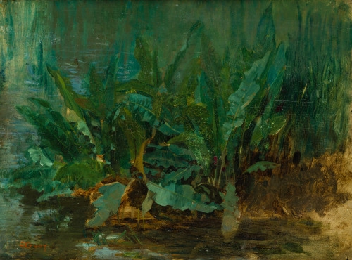 Gabriel Guay | Vegetación exótica | MutualArt