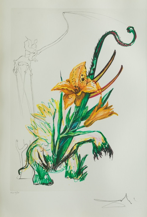 Salvador Dalí | Surrealistic Flowers, 1972 (1904) | MutualArt