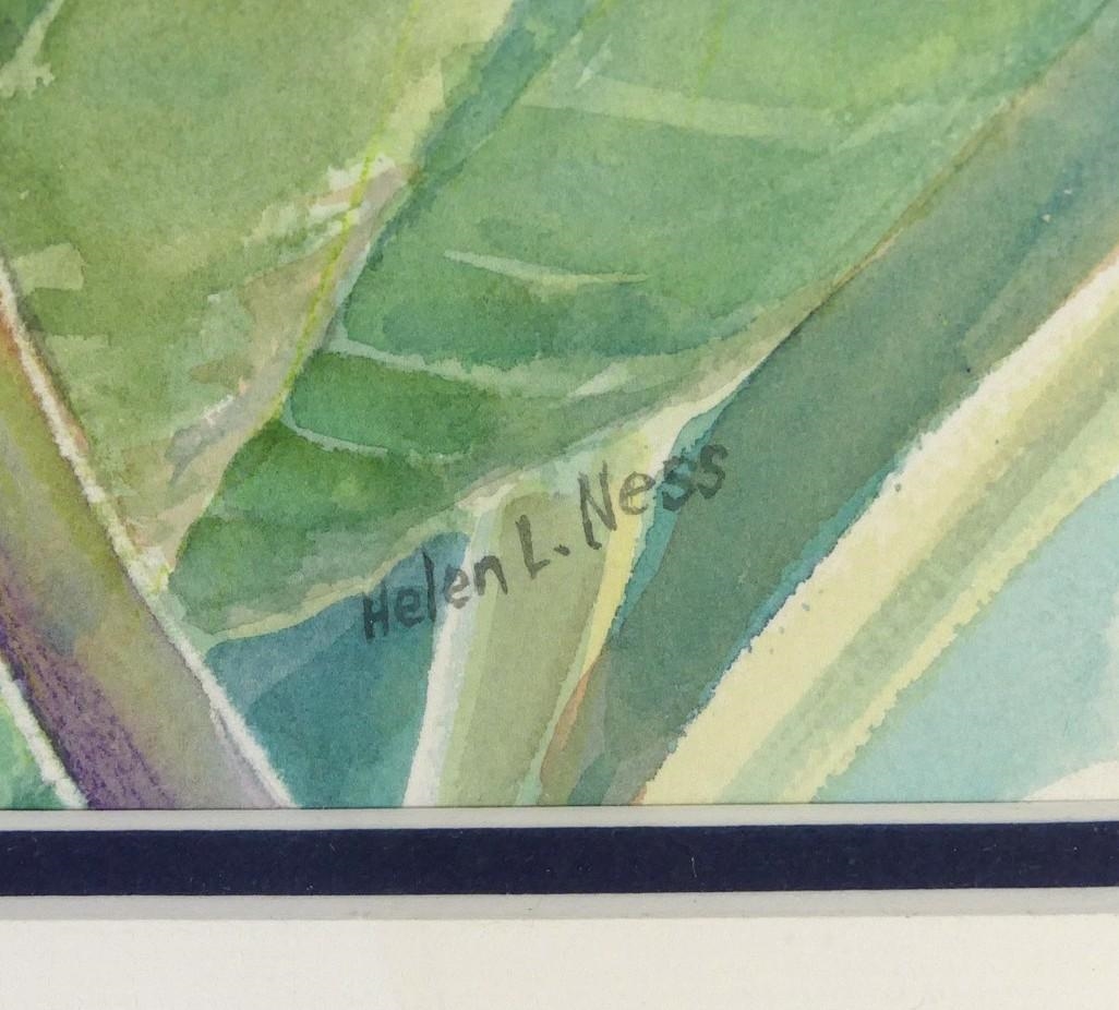 Helen L. Ness | Bird of Paradise | MutualArt