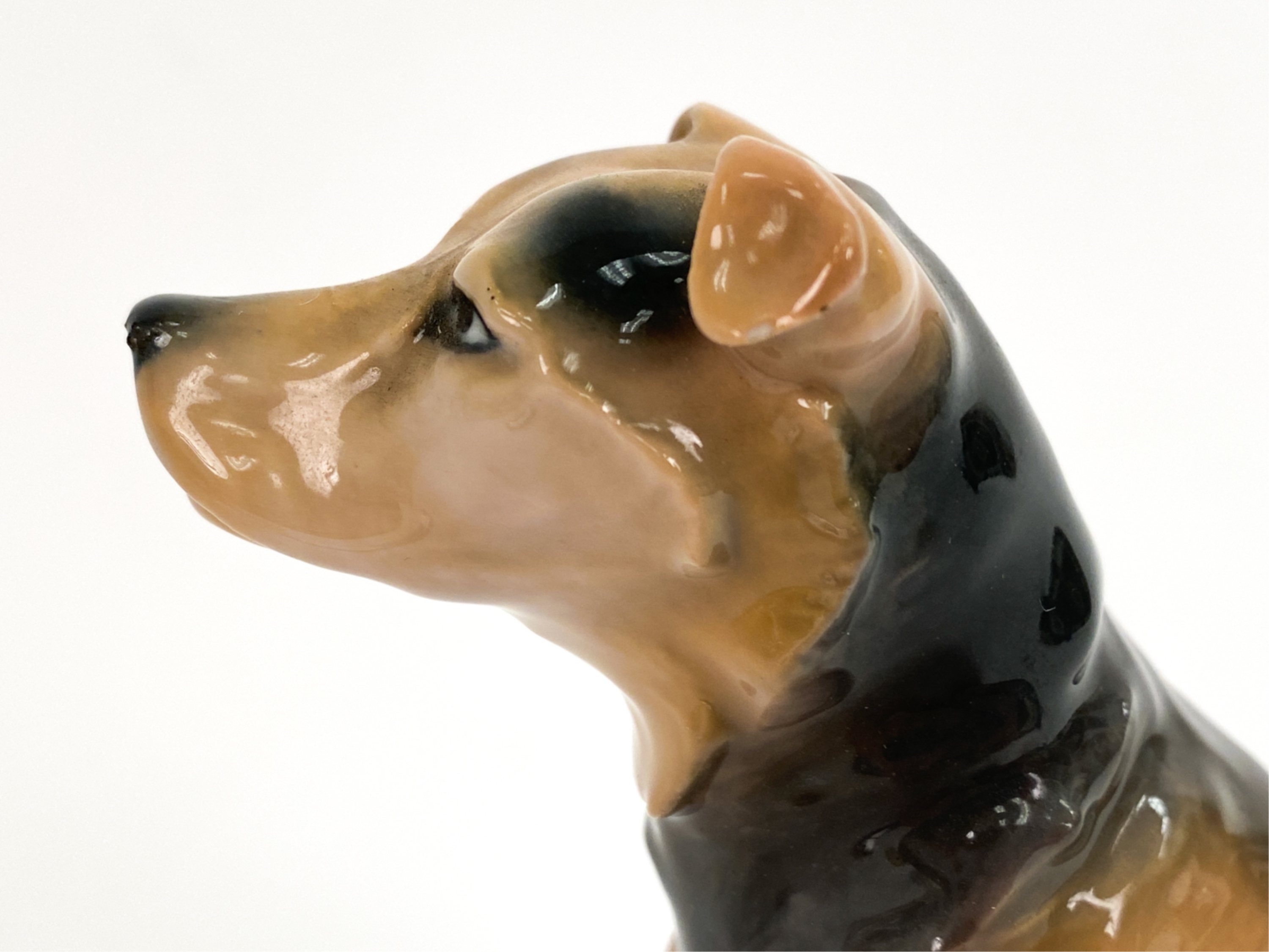 Paul Walther | PAUL WALTHER MEISSEN PORCELAIN DOG | MutualArt