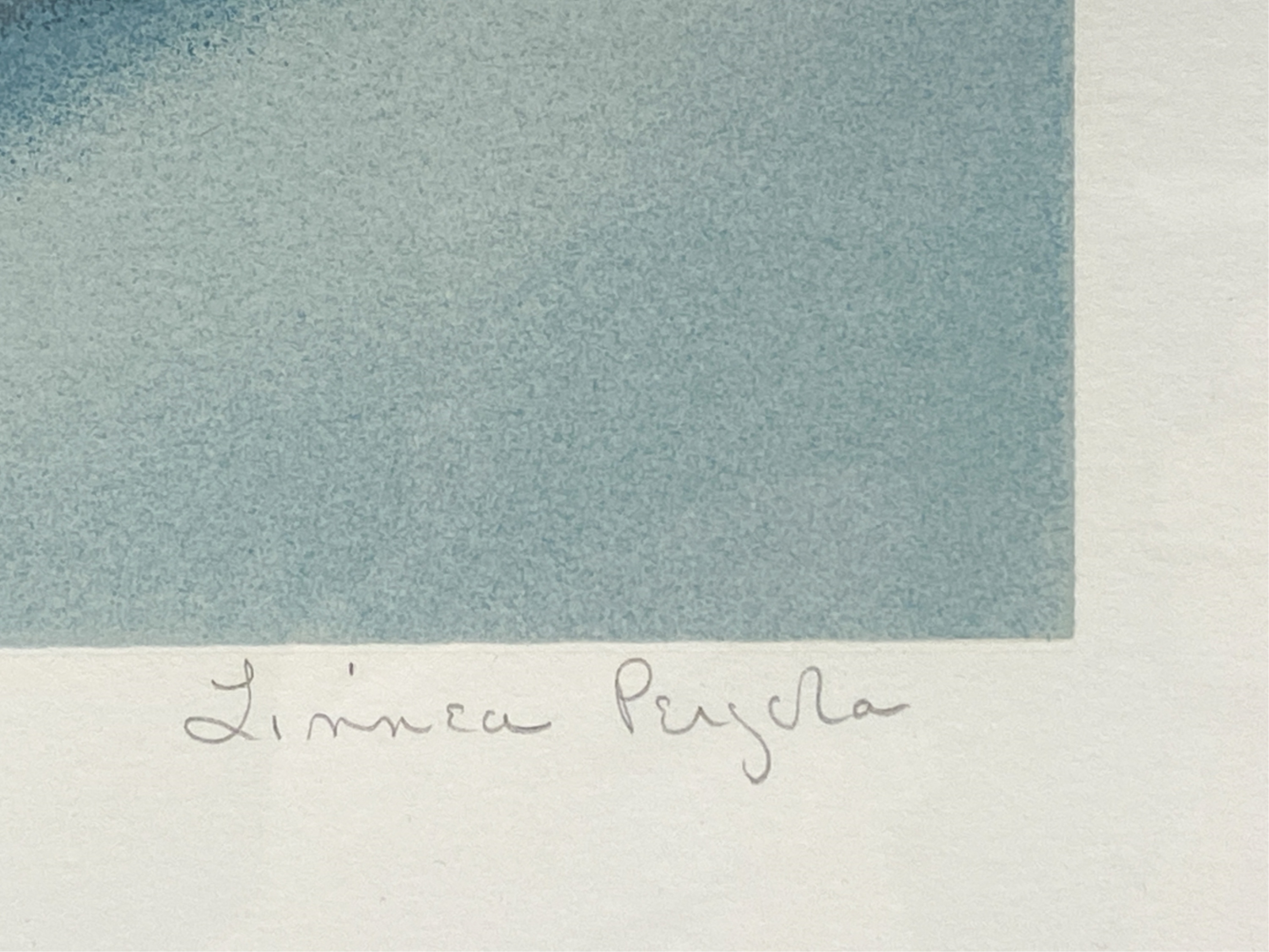 Linnea Pergola | LINNEA PERGOLA BORN 1953 SERIGRAPH | MutualArt