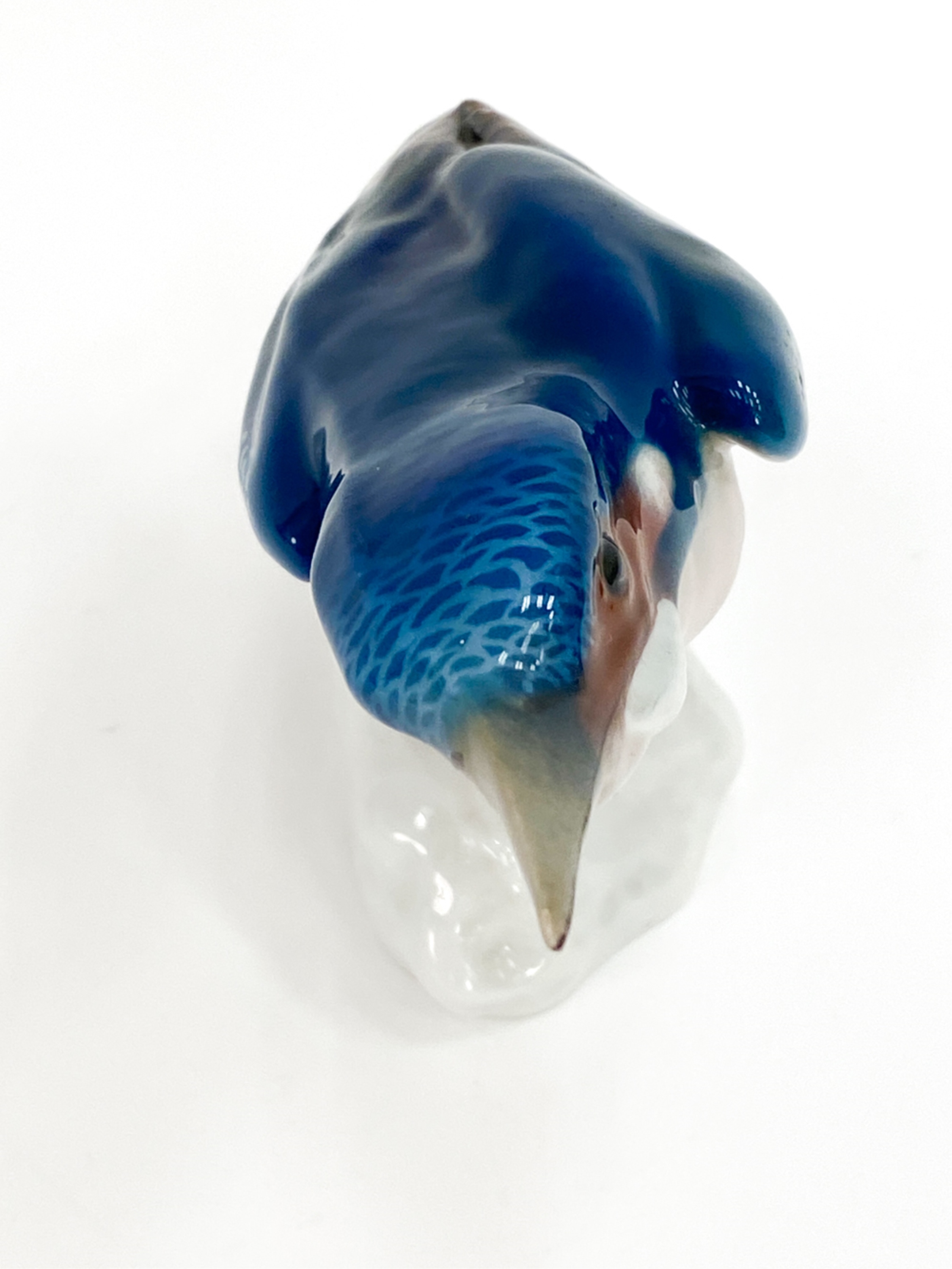 Paul Walther | PAUL WALTHER MEISSEN PORCELAIN KINGFISHER BIRD (1906 ...