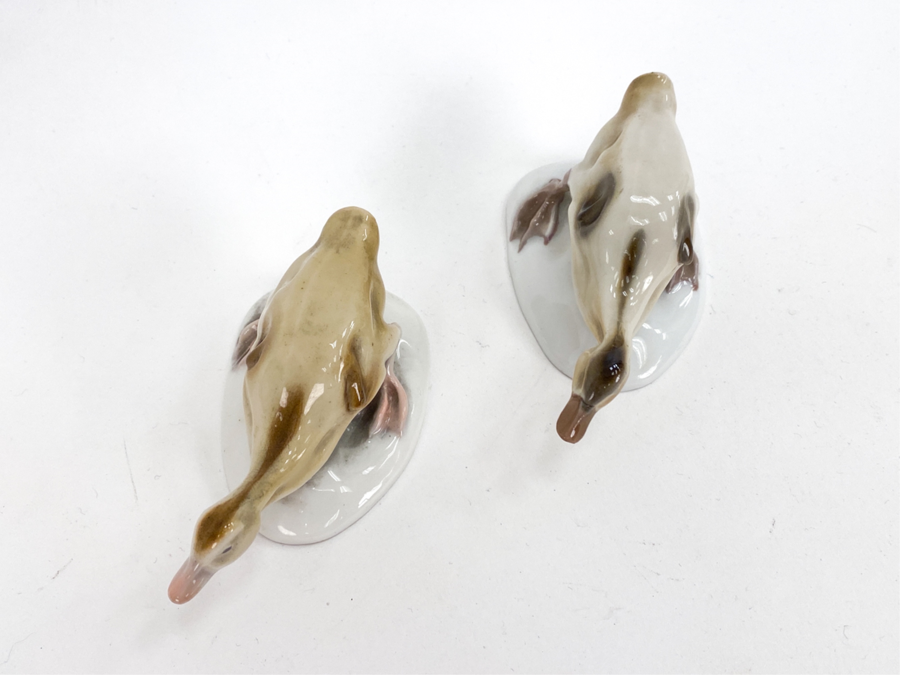 Paul Walther | (2) ATTR. PAUL WALTHER MEISSEN PORCELAIN DUCKS (1907 ...