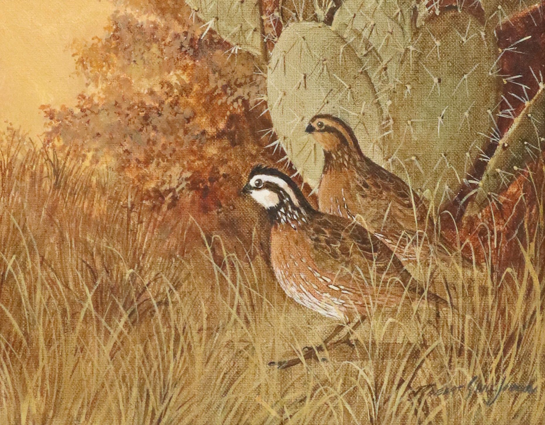 Robert Quill Johnson | Bobwhite Quails and Cactus | MutualArt