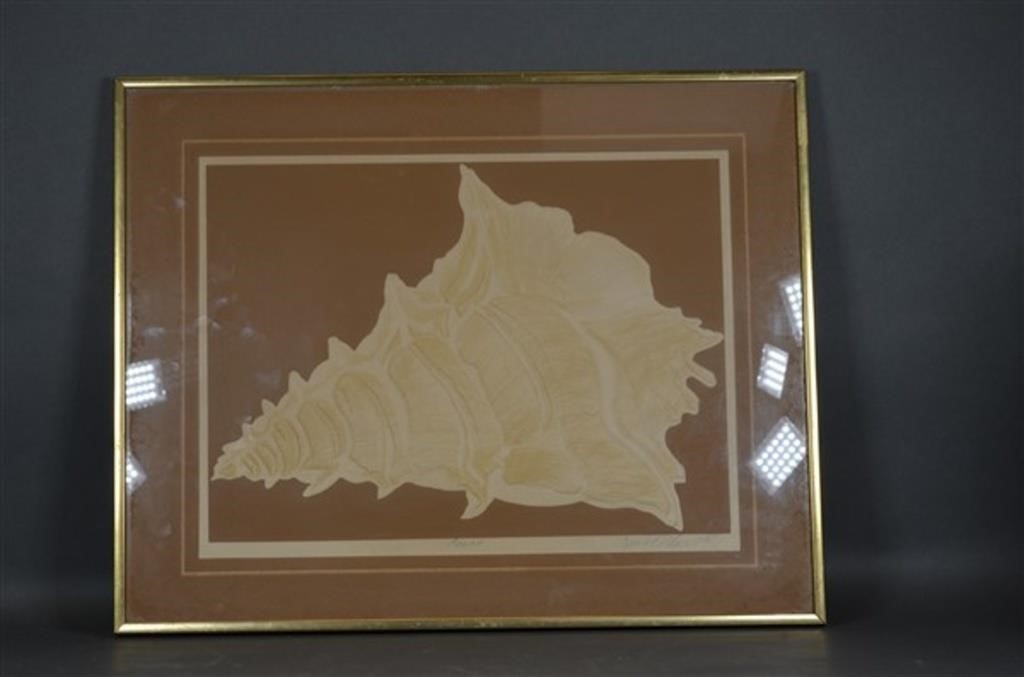 David Allgood | Conch Shell 1982 (1982) | MutualArt