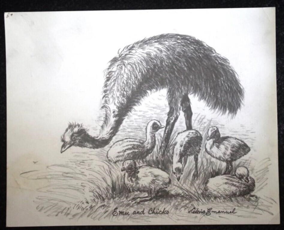 Cedric Emanuel | Emu and chicks | MutualArt