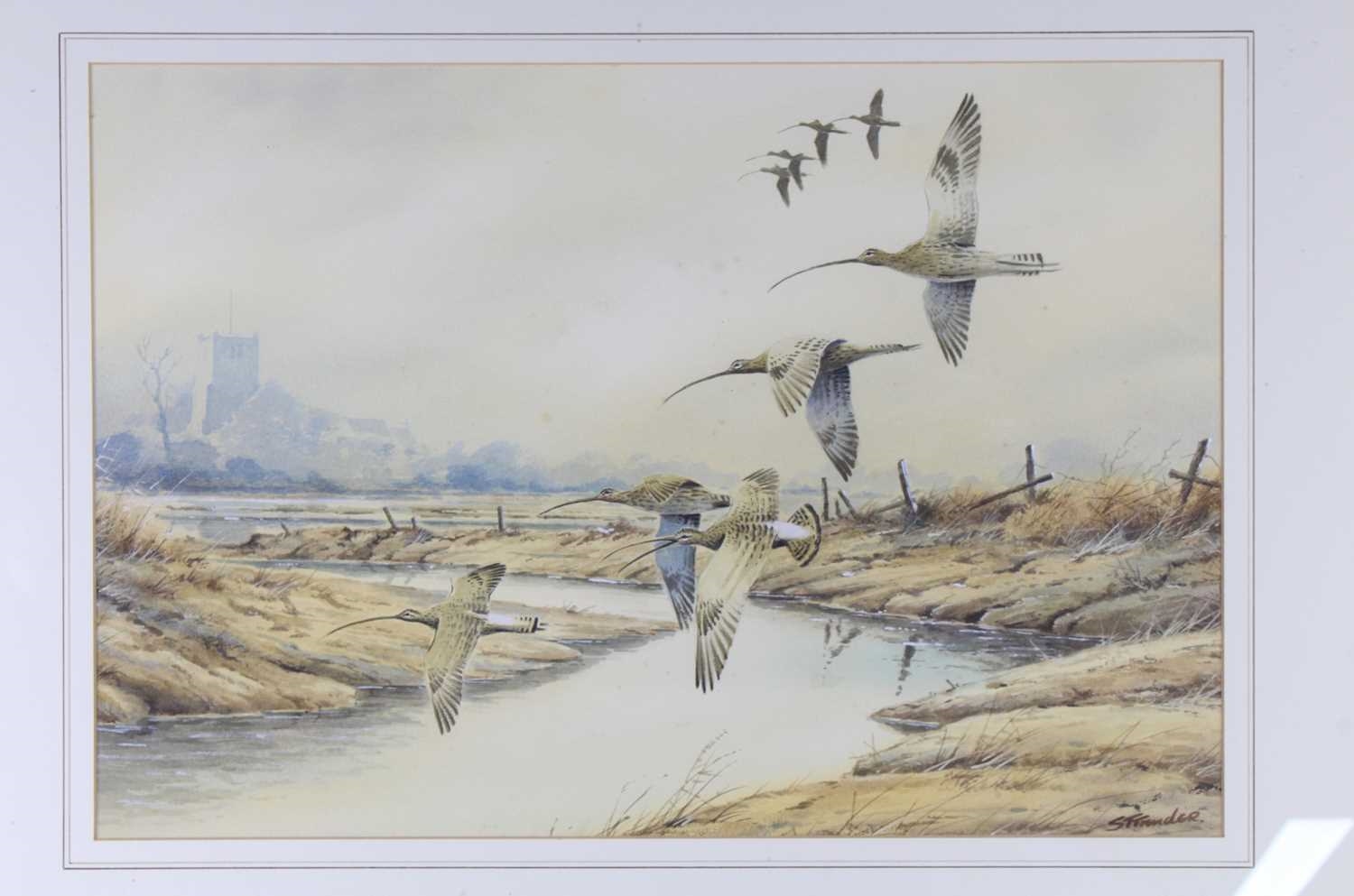 Simon Trinder | Snipe in flight | MutualArt