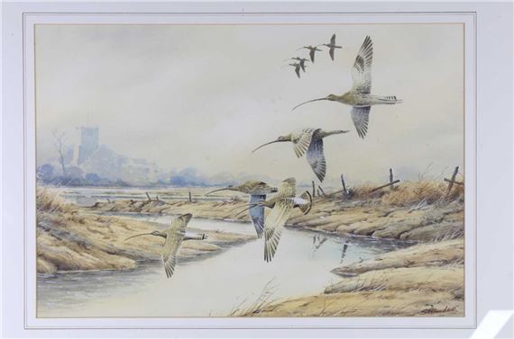 Simon Trinder | Snipe in flight | MutualArt