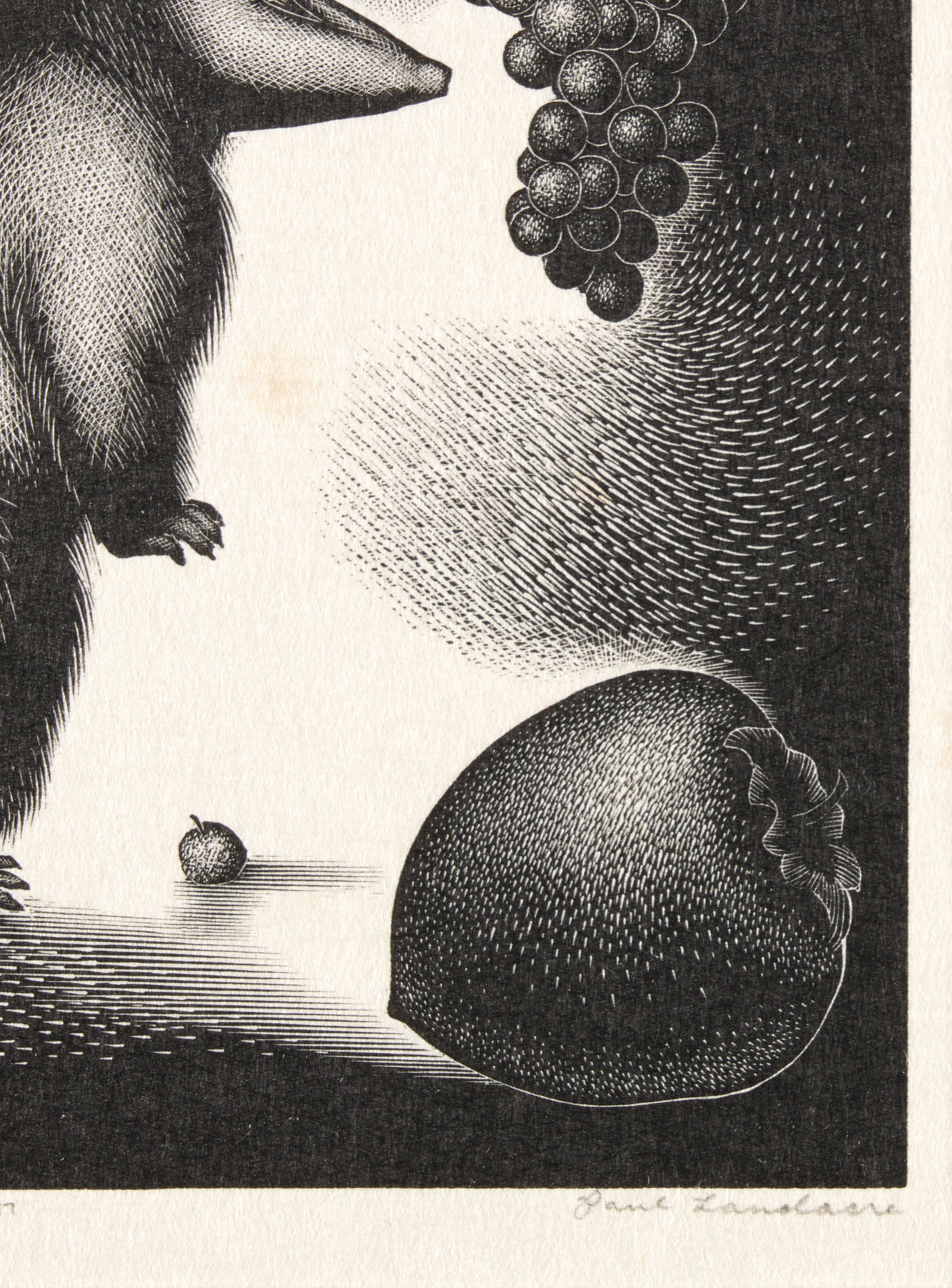 Paul Hambleton Landacre | Richard the Opossum (1936) | MutualArt