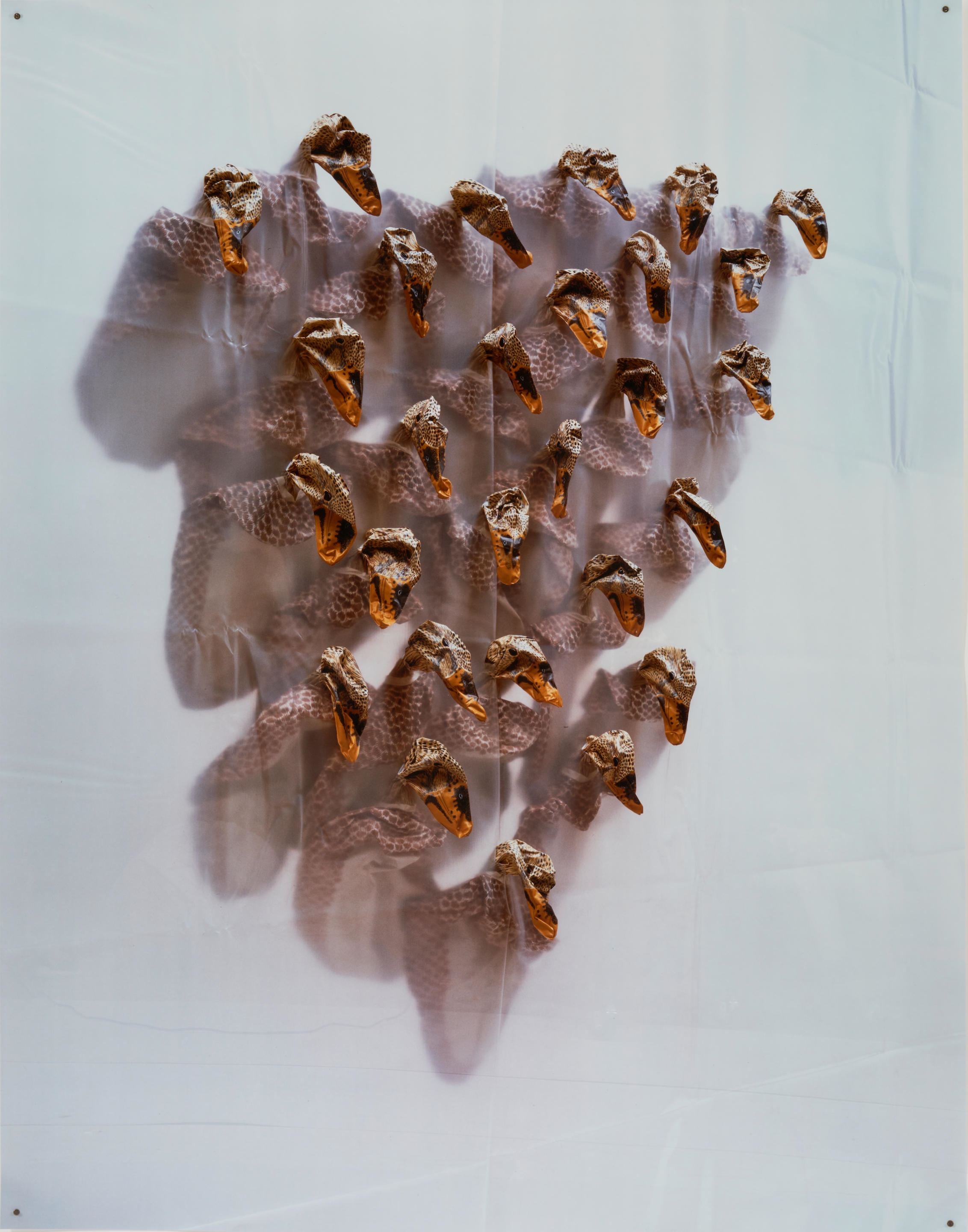 Boyd Webb | Croup (1988) | MutualArt