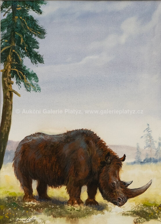 Petr Modlitba | Srstnatý nosorožec | MutualArt