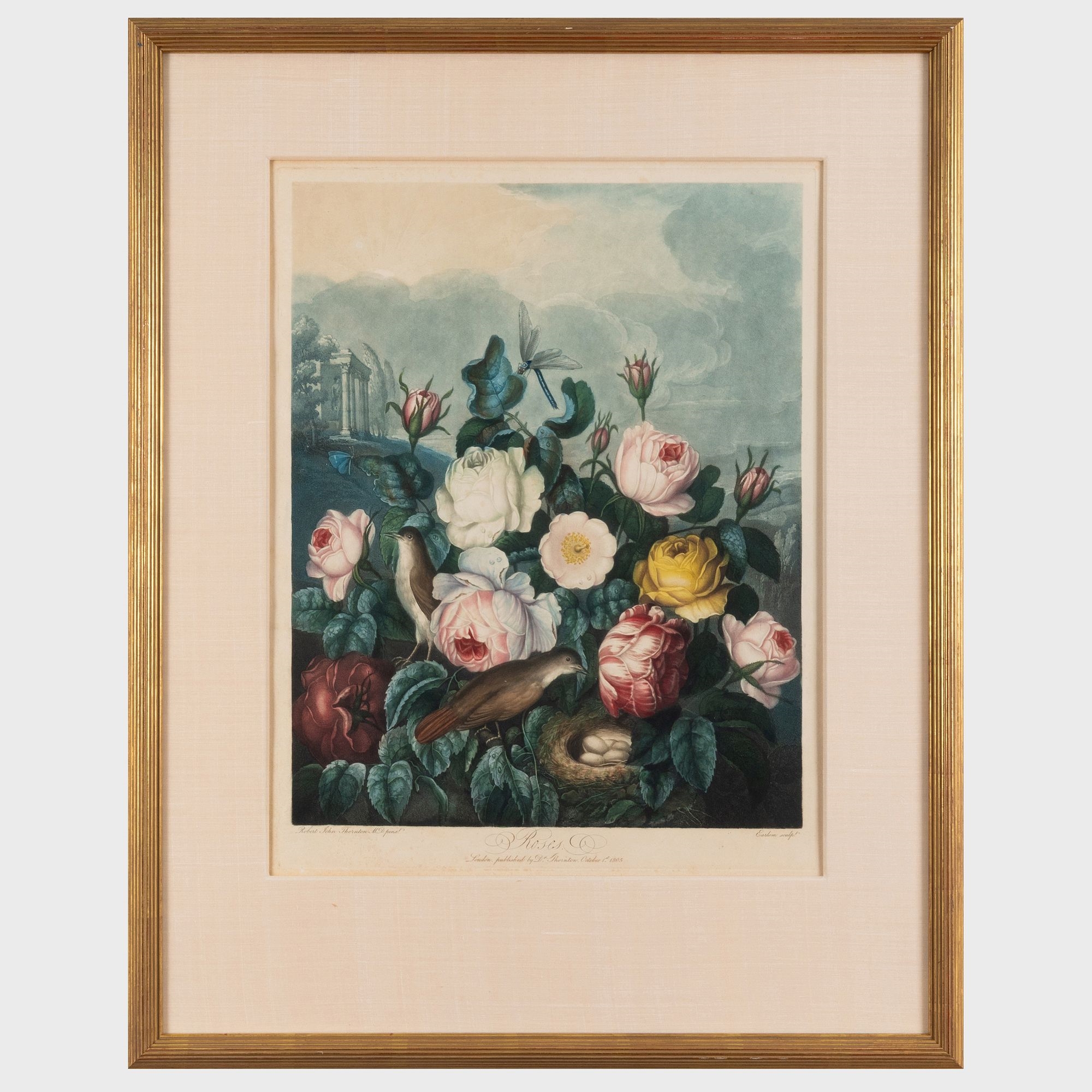 Robert John‏ Thornton | Roses (1805) | MutualArt