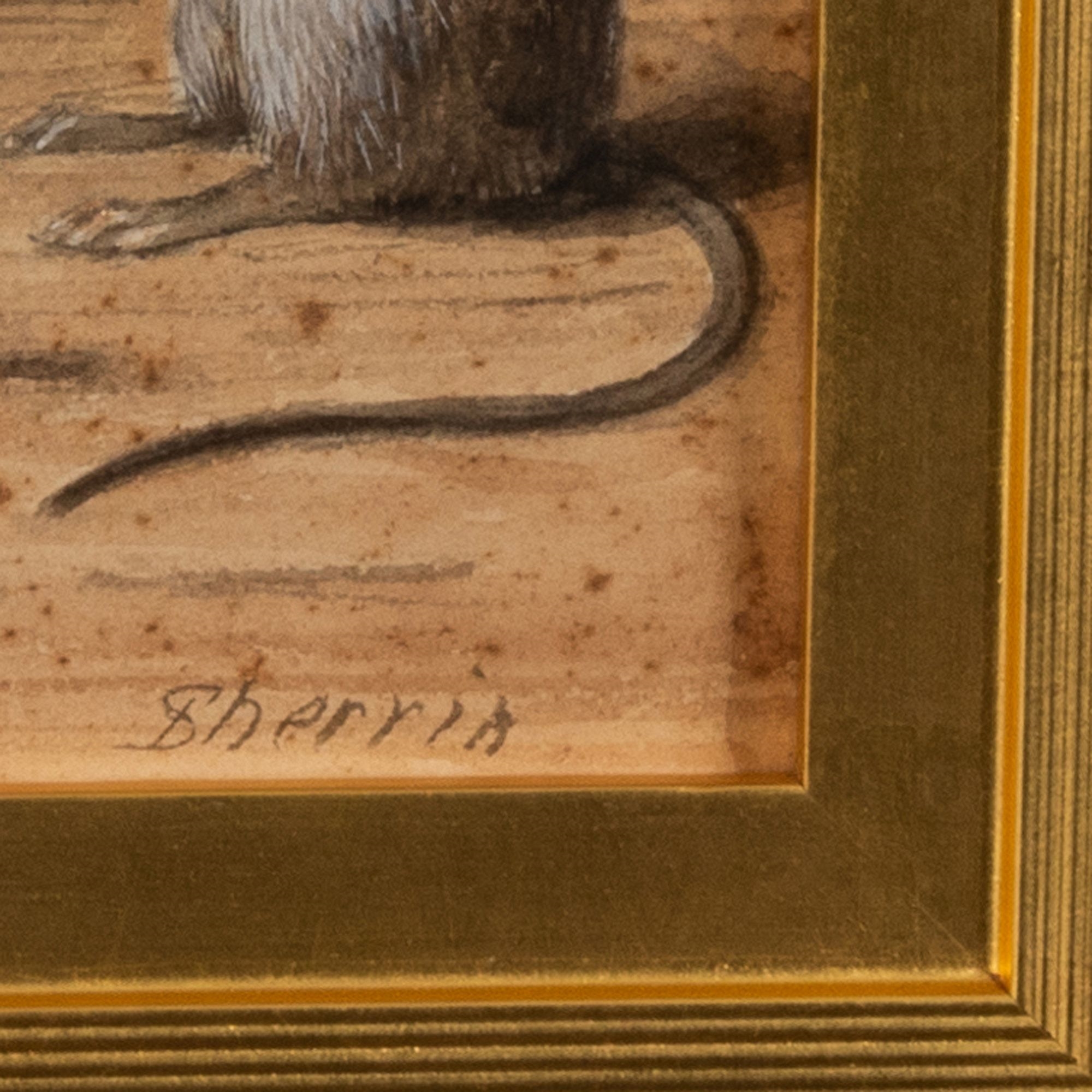 John Sherrin | The Marauders; and Sour Grapes | MutualArt