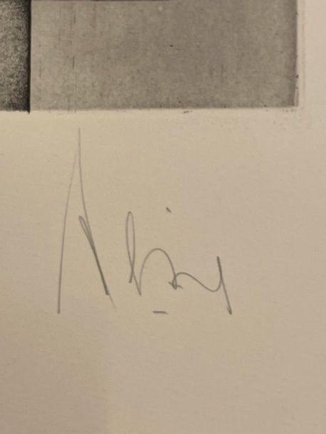 Luc Peire | Reims | MutualArt