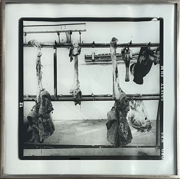 Marc Trivier | La Partition | MutualArt