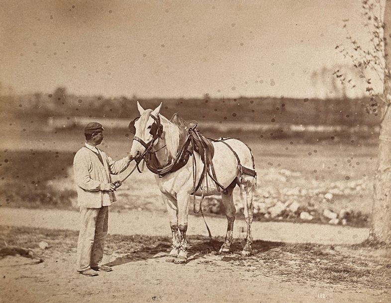 Achille Quinet | ACHILLE QUINET 1831-1900 Horse (Circa 1875) | MutualArt