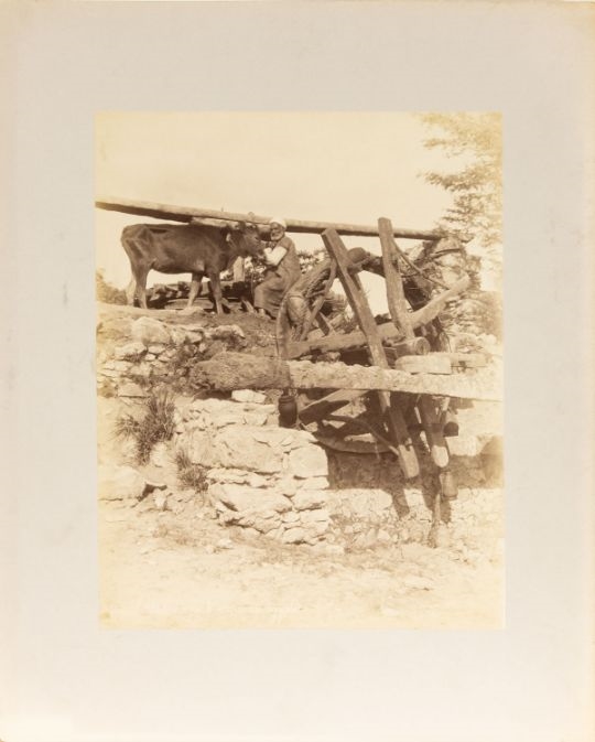 Félix Bonfils | Fèlix Bonfils (1867) | MutualArt