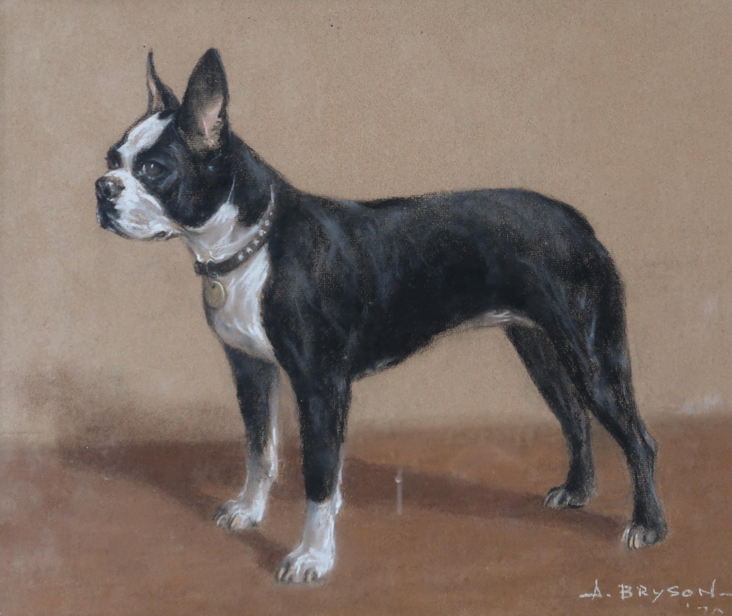 Contemporary School | BOSTON TERRIER (1970) | MutualArt