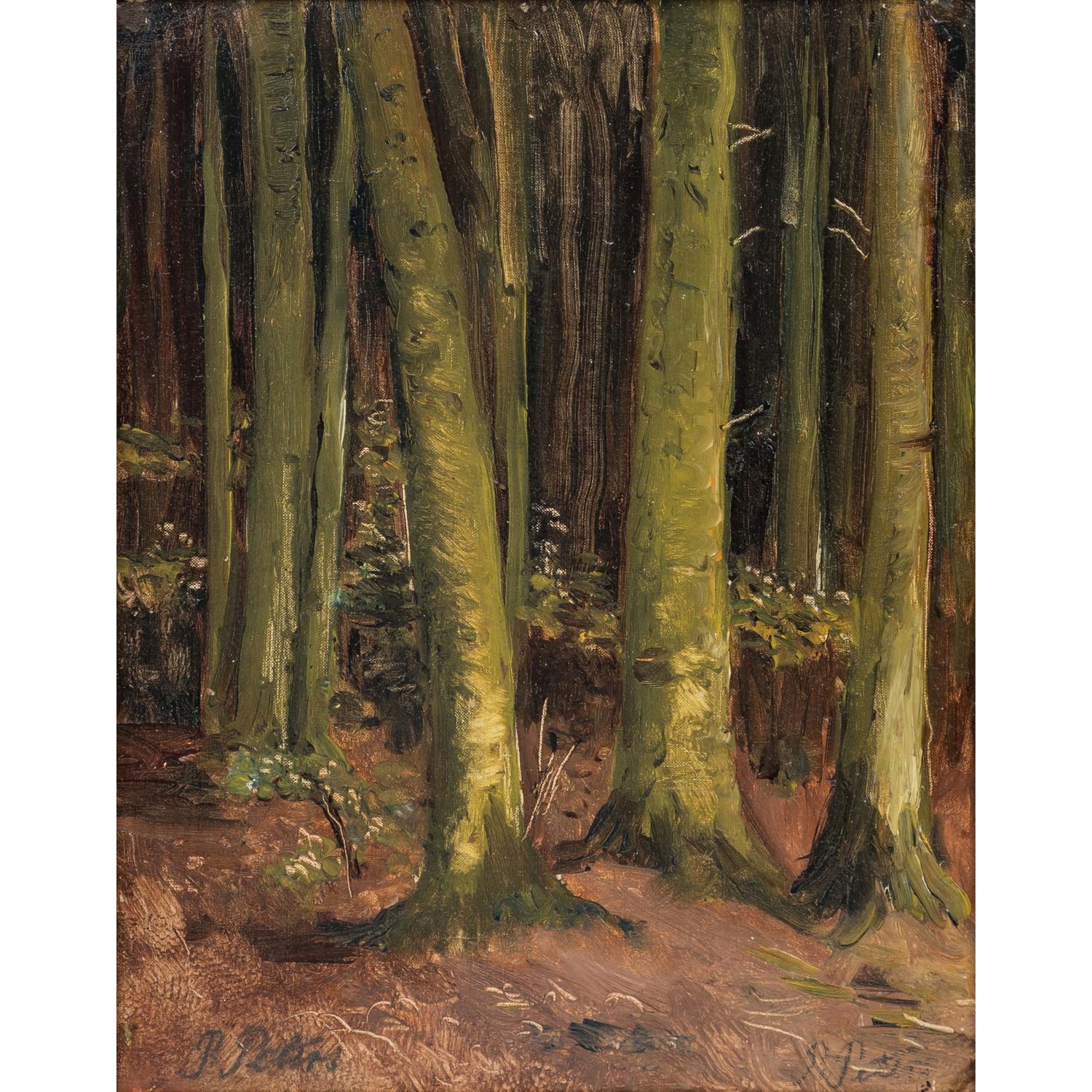 Pietronella Peters | Forest insight (2003) | MutualArt