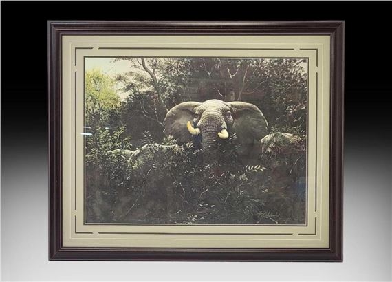 Guy Coheleach | African Elephant | MutualArt