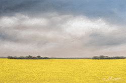 Alfred Schmidt | Rapsfeld | MutualArt