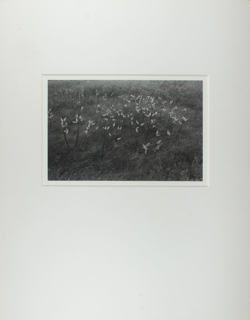 Philip Perkis | Eleven (11) photographs from the Warwick Mountain ...
