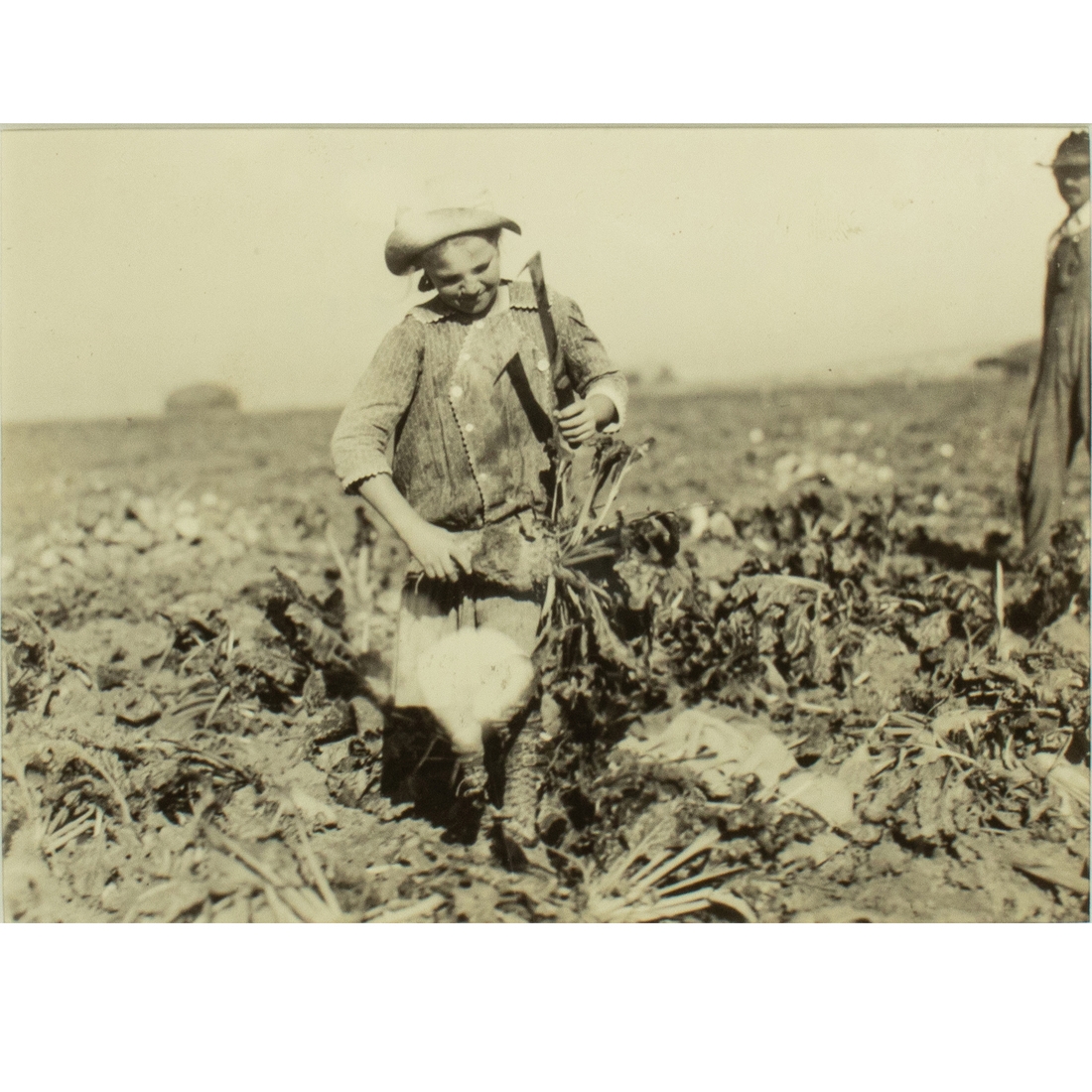 Lewis Hine | Nine-year-old Pauline Reiber Topping Beets a Dangerous and ...