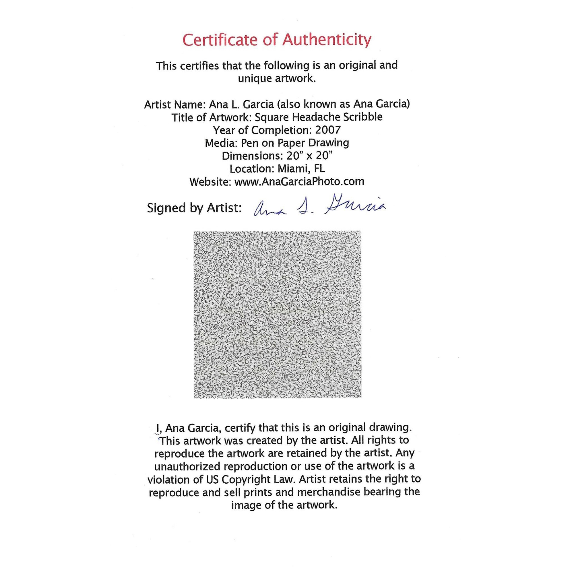 Ana Garcia | Ana Garcia (American b. 1982) Signed Original Drawing ...