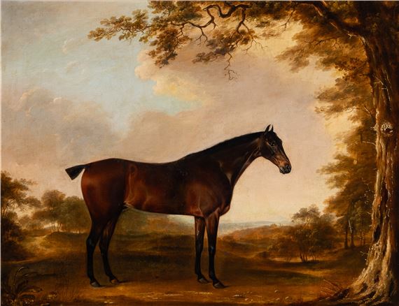 Thomas Weaver | Portrait of a Horse, 19 Years (1805) | MutualArt